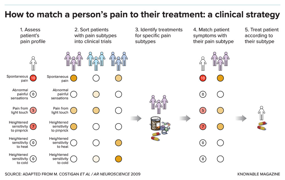 The Unexpected Diversity of Pain | Scientific American